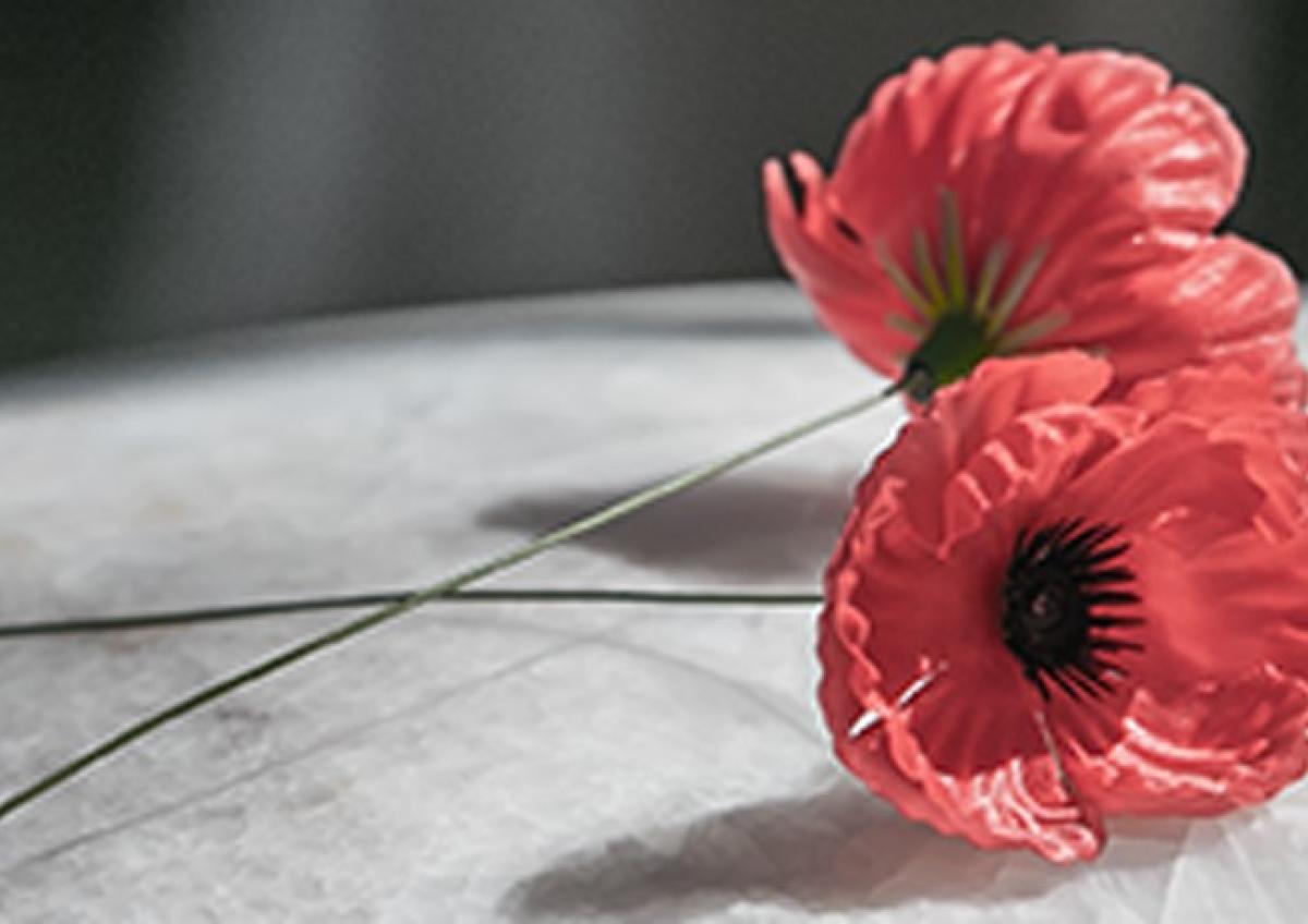 Home | Royal Commissions